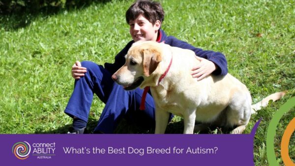 6 Ways Dogs Are Perfect for People with Autism | ConnectAbility Australia