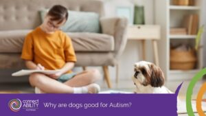 6 Ways Dogs Are Perfect for People with Autism | ConnectAbility Australia